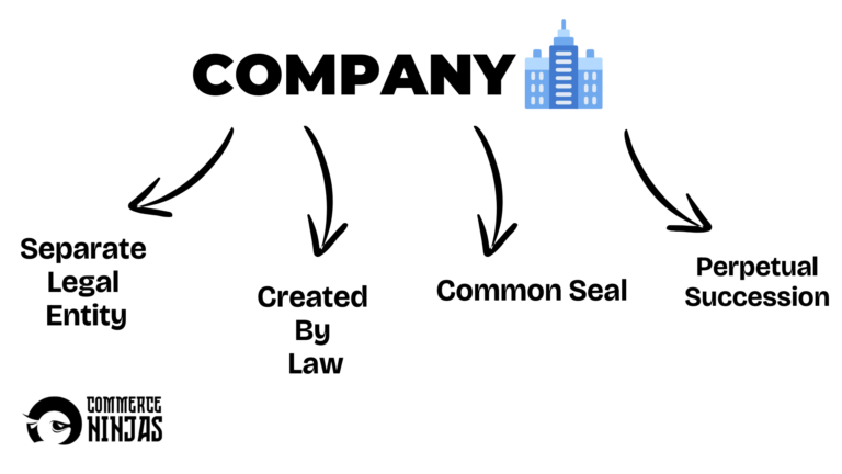 What is a Company? (Definition, Types and Incorporation)